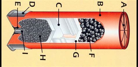 Shotgun Shell Diagram What Is Inside A Shotgun Grand View Outdoors