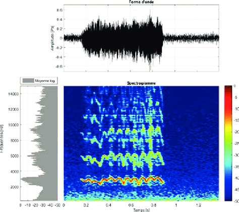 Forme Donde Et Spectrogramme De Gazouillis De Chouette Effraie Download Scientific Diagram