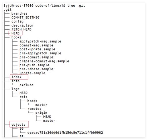 Git 工具的安装git安装工具 Csdn博客 Git 工具的安装git安装工具 Csdn博客