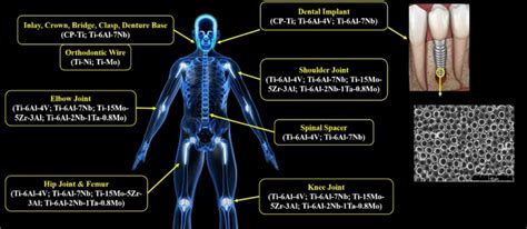 Application Of Shape Memory Alloys How SMAs Work