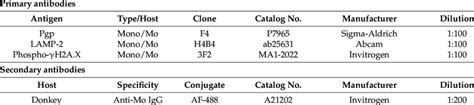 Primary And Secondary Antibodies Used For Indirect Immunofluorescence Download Scientific
