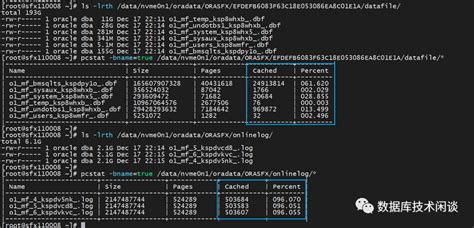 Linux 内存 PageCache 和数据库共享内存分析上 墨天轮