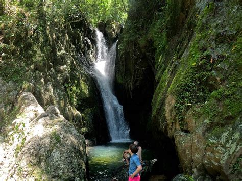 Fairy Falls Crystal Cascades Waterfall And Track Review