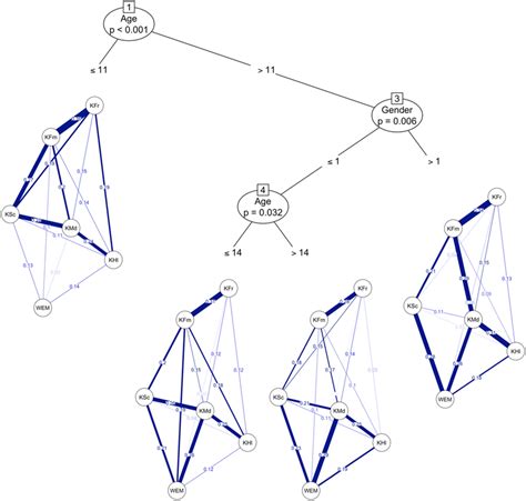 Network Model Tree Comparing Network Structure Based On Gender And Age Download Scientific