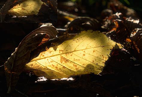 Open Source RAW Photography Read This Story On Magzter