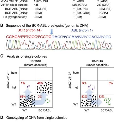Patient Characteristics Bcr Abl Breakpoint Sequence And Genotyping Of Download Scientific