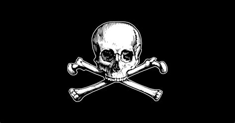 Skull And Crossbones Pirate Posters And Art Prints Teepublic