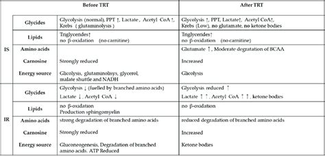 Schematic Representation Of The Metabolisms Affected By Testosterone