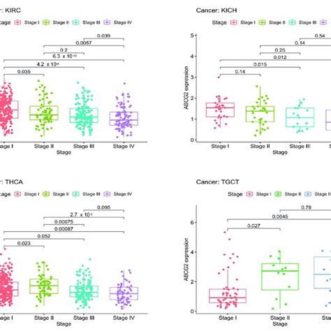 Correlation Between Abcg2 Gene Expression And The Pathological Stages