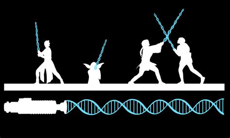Modeling Dna Sequences With Pytorch By Erin Wilson Towards Data Science
