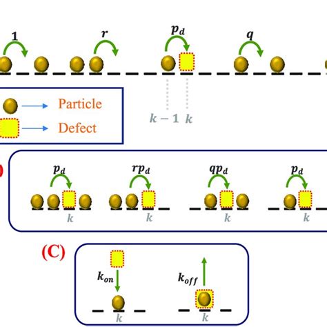 a a schematic view of the tasep model for interacting particles with