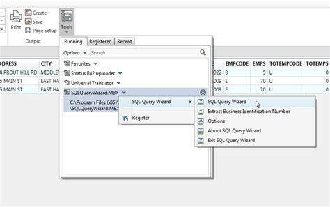 Installing And Configuring Business Point Data And The Sql Query Wizard
