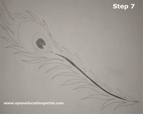 How To Draw A Peacock Feather Easy Step Wise Guide