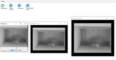 SLEAP Root Error ConcatOp Unequal Shapes Bonsai Rx Discussion
