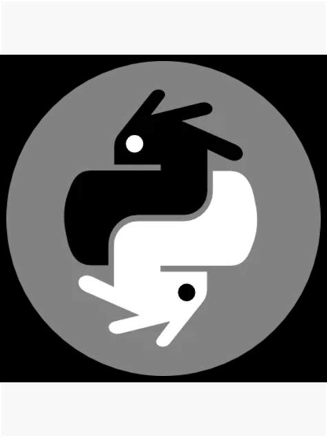 Python Coding Language Logo Dragons Poster By BluePencilArt Redbubble