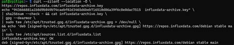 Getting Started With Influxdb On Raspberry Pi Raspberrytips