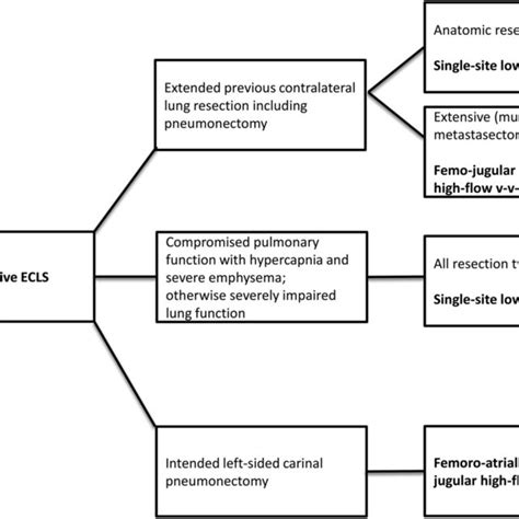 Decision Algorithm For The Application Of Intraoperative Ecls Ecls Download Scientific