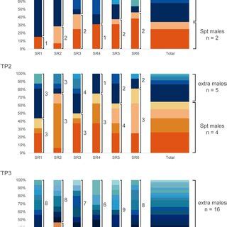 The Distribution And Sperm Storage Patterns Of Analysed Seminal Download Scientific Diagram