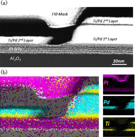 A High Angle Annular Dark Field Stem Fib Cross Section Image Of A Download Scientific Diagram