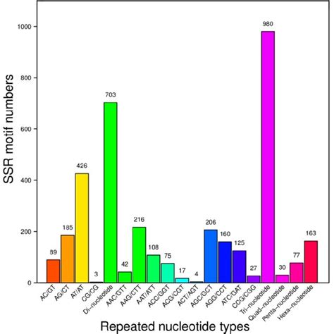distribution of ssr size download table