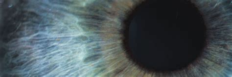 Optomap® Retinal Imaging Richmond Centre Optometry