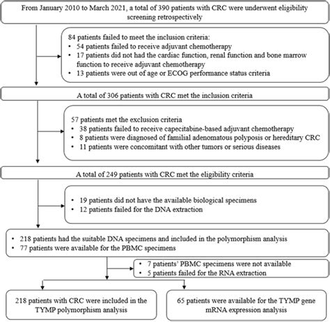 Flow Chart Of This Retrospective Study Of The Implication Of Tymp