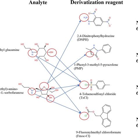 The Schematic Diagram Of Pre Column Derivatization Methods Download Scientific Diagram