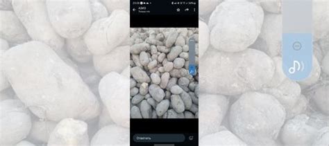 Картофель на корм скоту купить в Черняховске | Животные и зоотовары | Авито