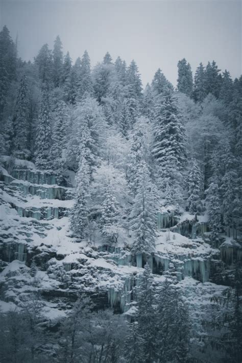 captain python on tumblr