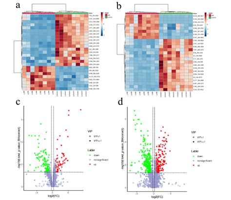 Altered Serum Metabolomics In The Aging Group Compared With The