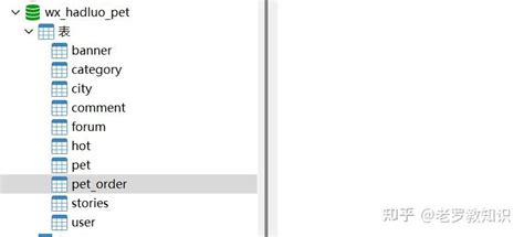 【精品源码】java宠物领养网站springbootvue前后端分离 知乎