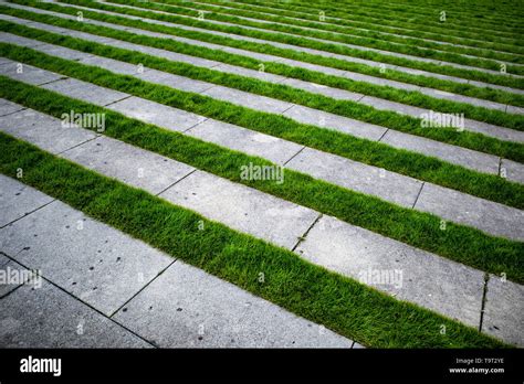 Path In Grass Stock Photo Alamy