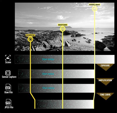 Sources Of Noise Part Two Electronic Noise Digital Photography Review
