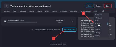 How To Set Up And Use Backups WiseHosting