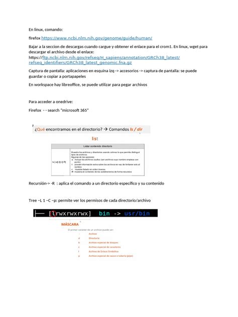Programación Con Shell Scripting Pdf Archivo De Computadora