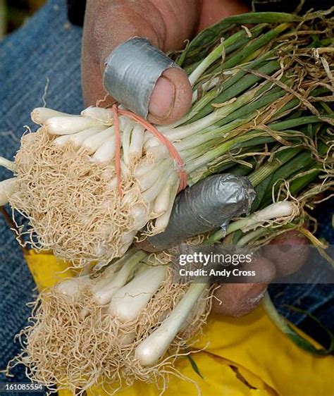 Leines Photos And Premium High Res Pictures Getty Images