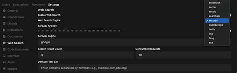Serpapi Open Webui