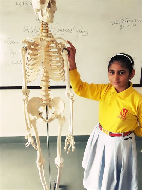 Blossom Academy Learning By Doing Fixes The Concepts