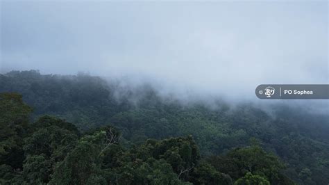 គម្រោងរេដបូកនៅដែនជម្រកព្រៃលំផាត់ នឹងជួយឱ្យកម្ពុជា លក់ឥតទានកាបូនបន្ថែម
