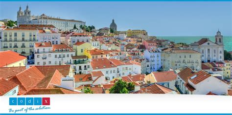 Codix Imx Software Business Finance Leasing Factoring Portugal Codix