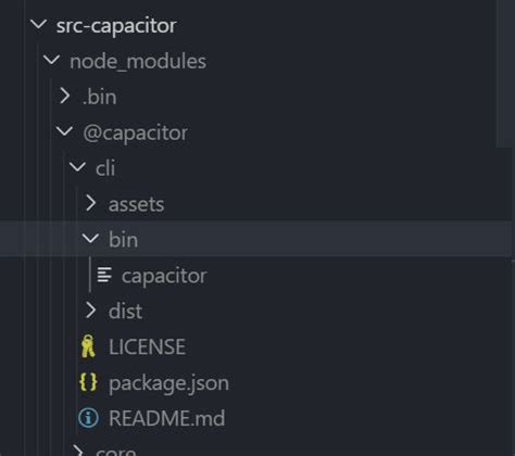 Unable To Add And Run Capacitor In My Quasar Project Issue 6845 Quasarframework Quasar GitHub