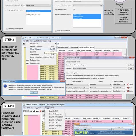 Example Workflow For Integration And Analysis Of Mirna And Mrna