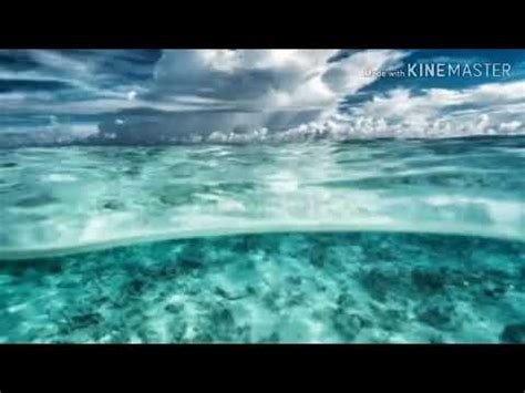 куръони карим пораи 30 бо тарчумаи форси точики - YouTube