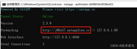 实现内网穿透 netapp 内网穿透netapp csdn博客