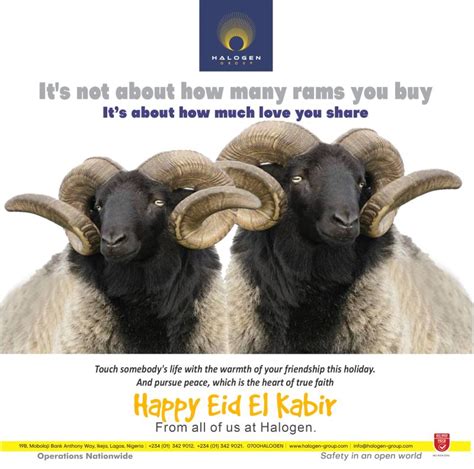 Halo Digital On Linkedin Staysafe Safetyinanopenworld