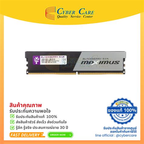 Ram Ddr5 5200 16gb Blackberry Maximus Gray Cybercare