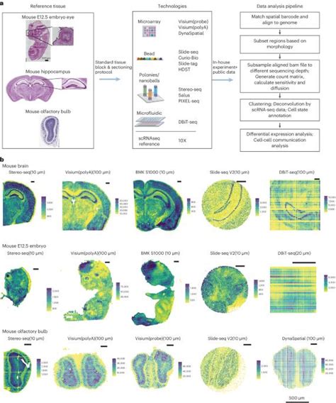 Yongfu Wang On Linkedin Systematic Comparison Of Sequencing Based Spatial Transcriptomic Methods