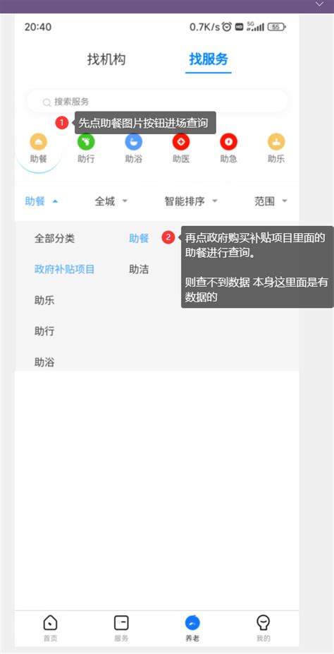 Bug 7022 【养老 找服务】若是先点助餐图片，再点下面的政府购买补贴里面的助餐进行查询，查不到数据。若是刷新后直接点政府都买里面的助餐