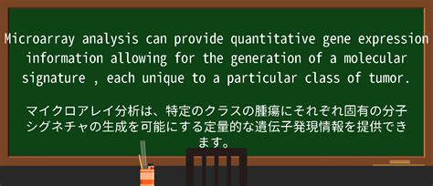 【英単語】molecular Signatureを徹底解説！意味、使い方、例文、読み方 おもしろい英文法