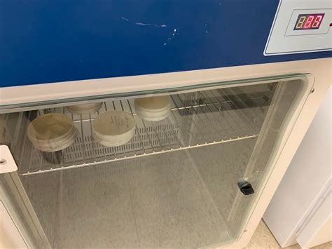 Labcompare Product Review Great Product For Culturing Labcompare Com